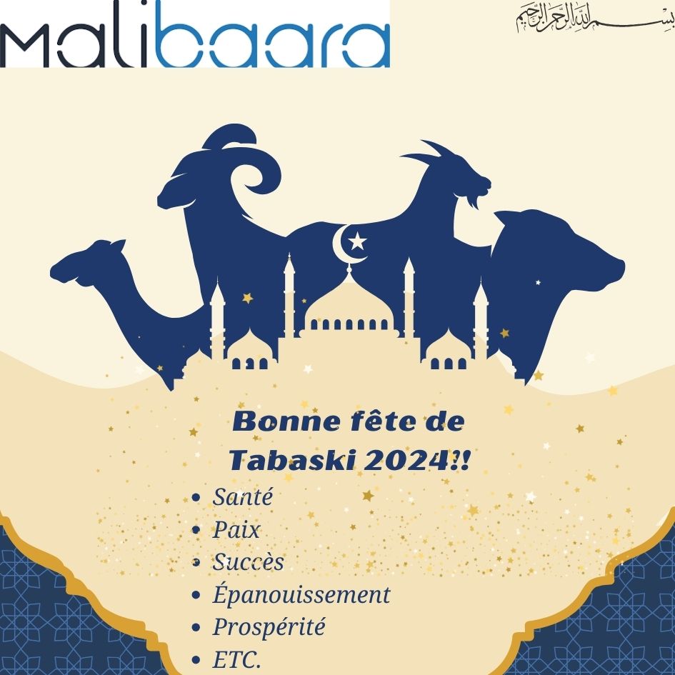 Malibaara.com | Le site par excellence de recherche d'emplois au Mali